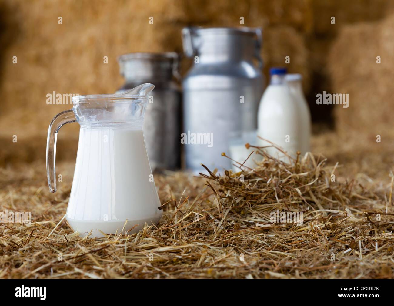 Stack milk cans hi-res stock photography and images - Alamy