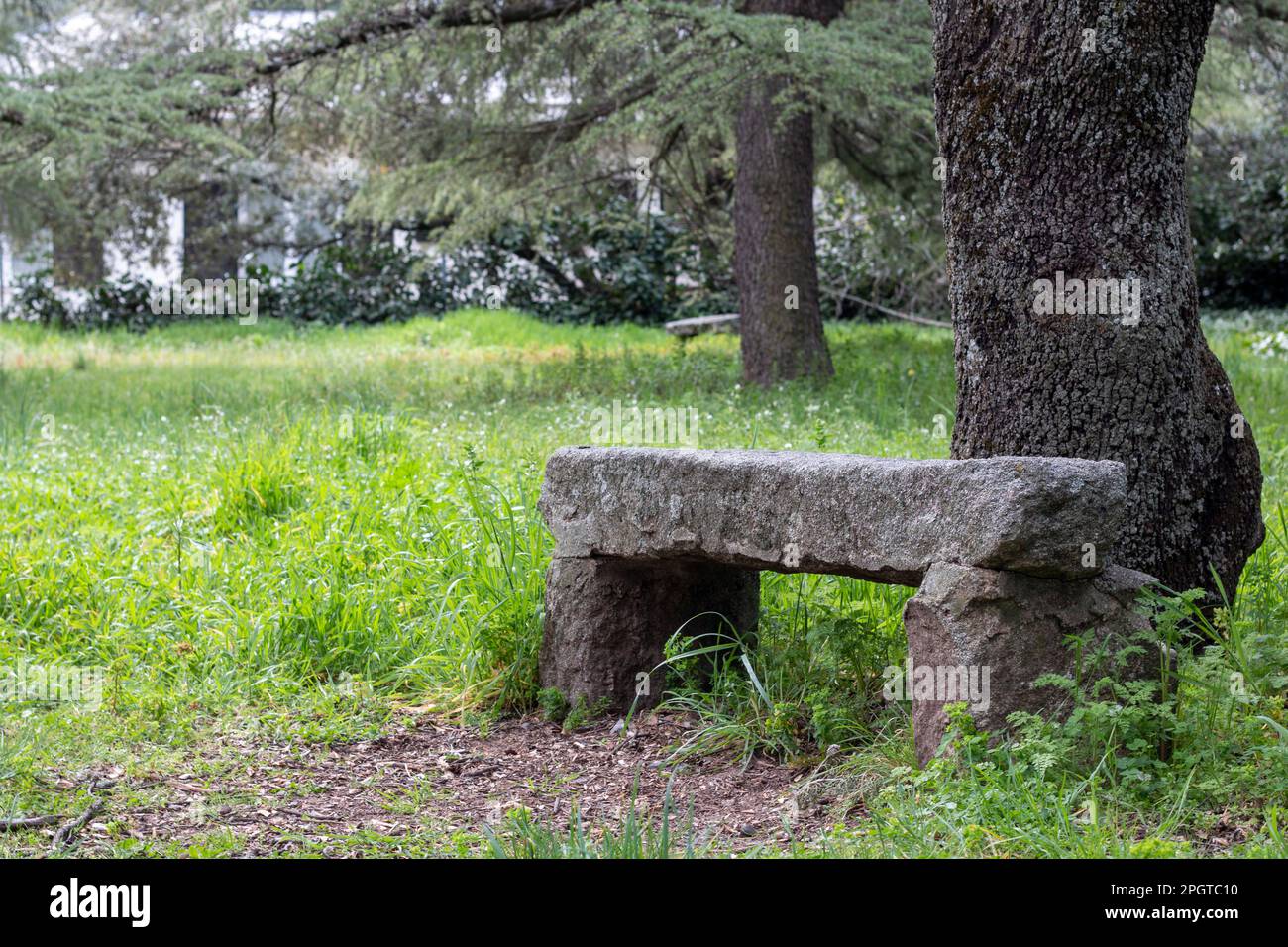 Granite stone bench in a green garden in early spring Stock Photo - Alamy