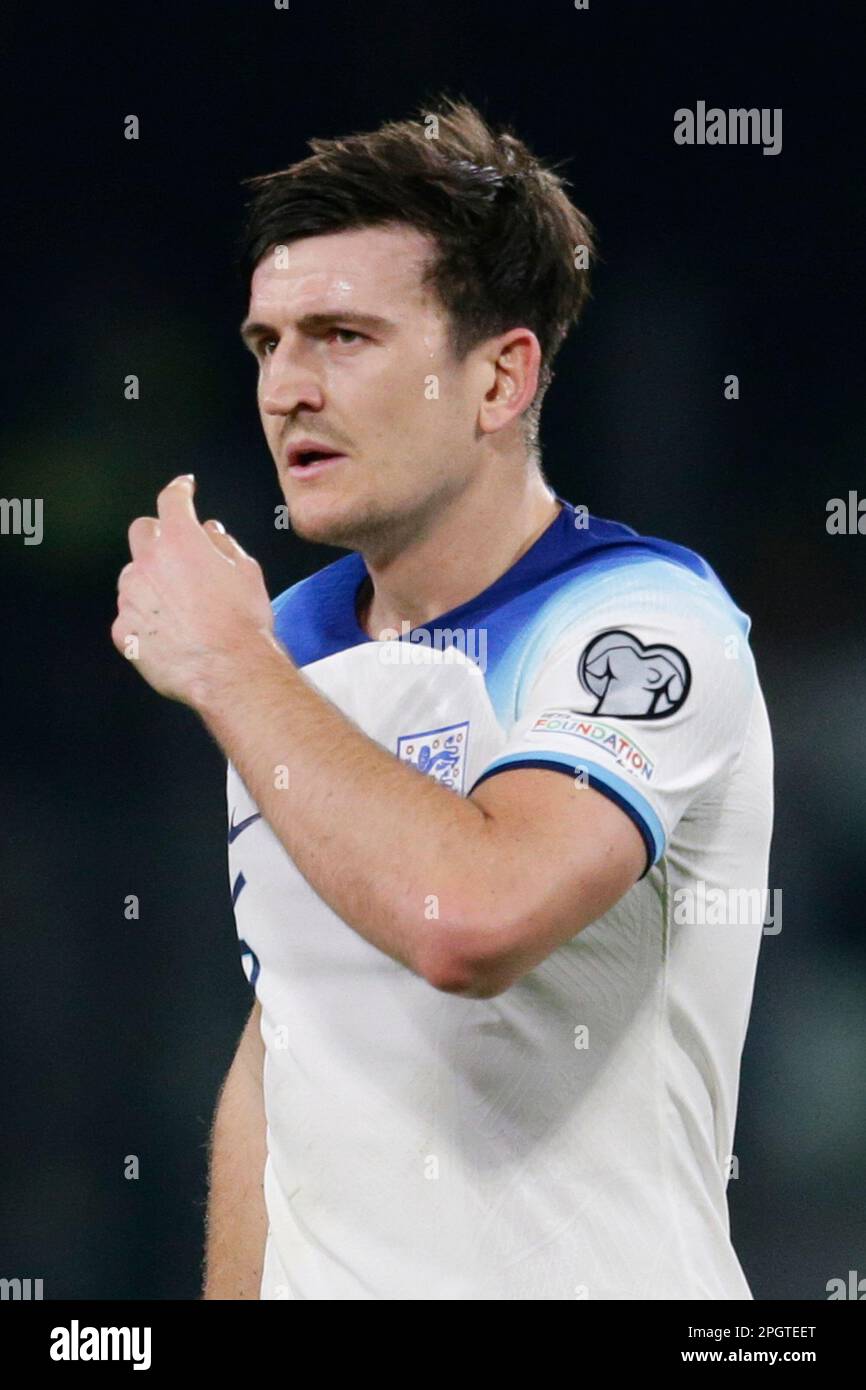 England's defender Harry Maguire (Manchester Utd) gesticulate during ...