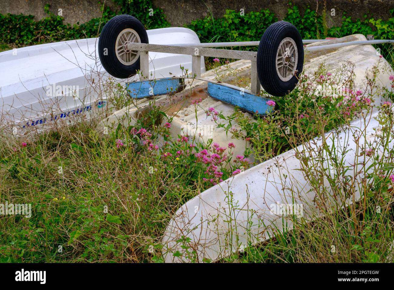 Detail of overturned beached boats with wheels up on overgrown foliage ...