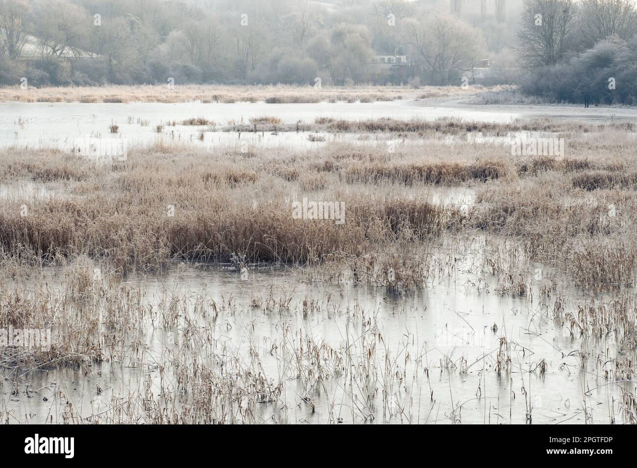 Frozen flood plain hi-res stock photography and images - Alamy
