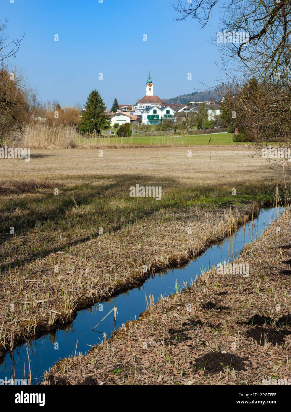 Marsh landscape by Hallwil lake in Seengen, Switzerland Stock Photo - Alamy