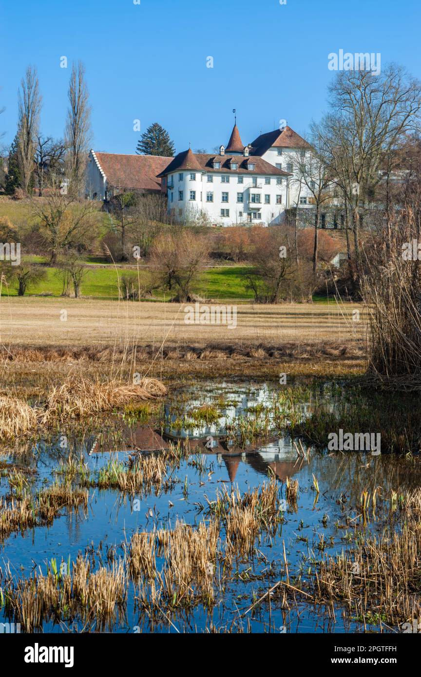 Marsh landscape and the Brestenberg castle by Hallwil lake in Seengen ...