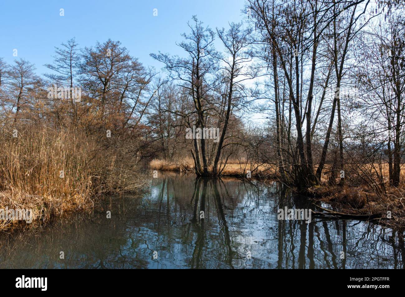 Boniswiler Badi natural swimming pool in the Aabach river in Seengen ...