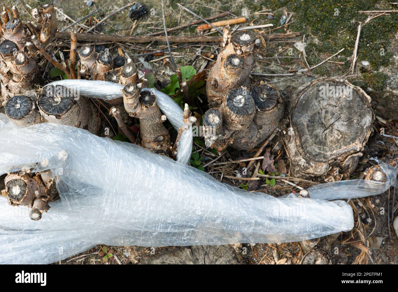 Plastic pollution abstract hi-res stock photography and images - Alamy