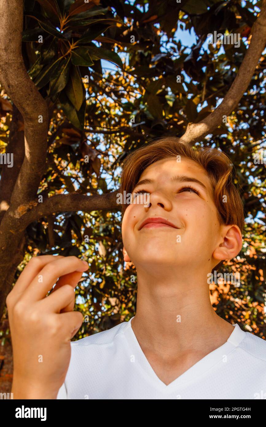 Italian hand signal hi-res stock photography and images - Alamy