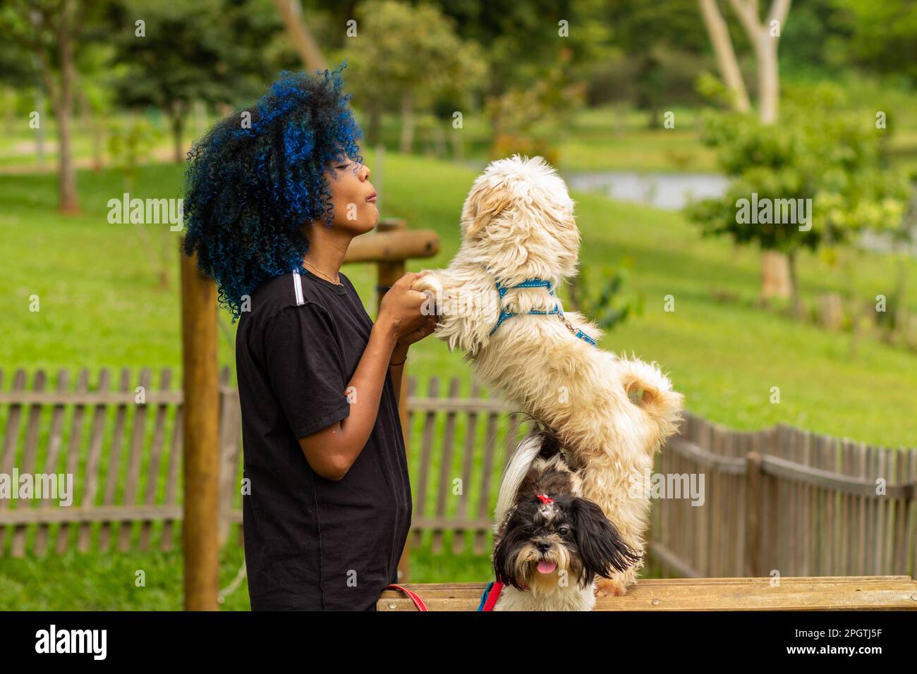 Goiania, Goias, Brazil – March 20, 2023: A young black woman with dyed ...