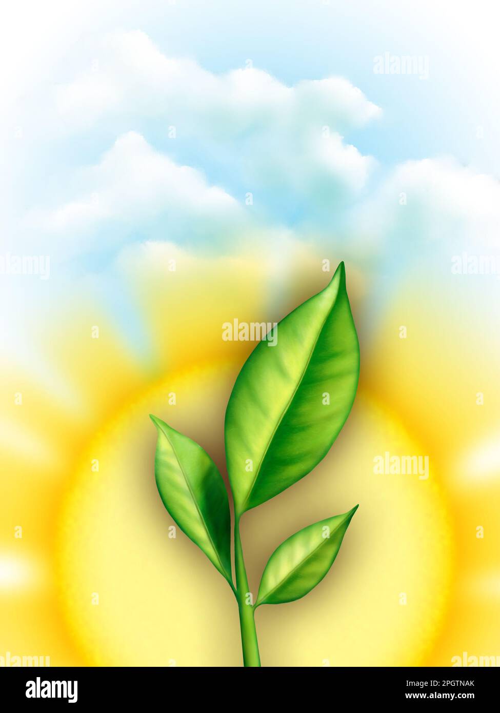 Fresh leaves growing over a bright sun. Digital illustration Stock ...
