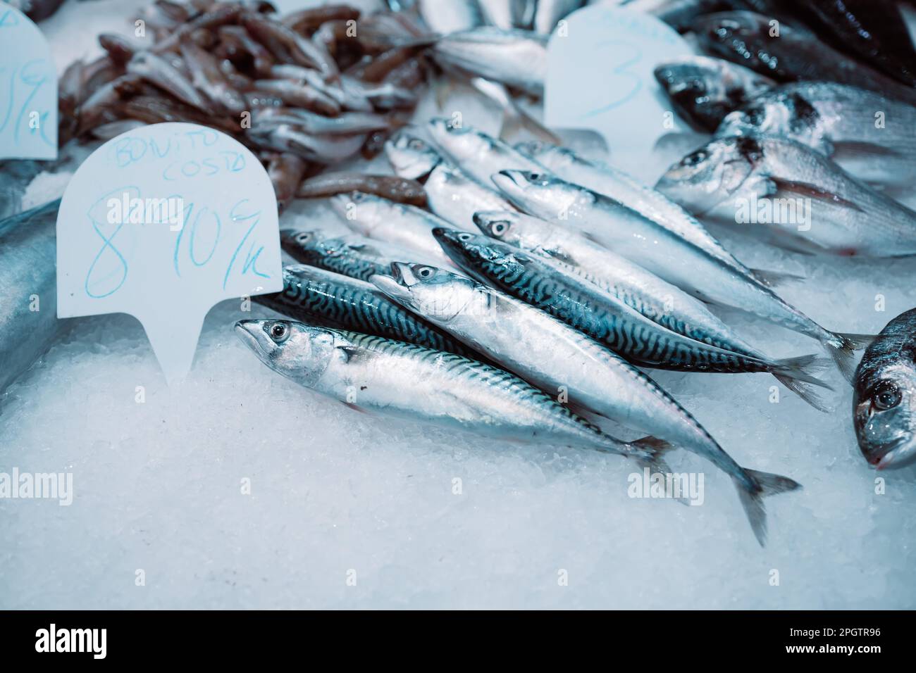 Fresh fishes in a market. Shopping in an Spain Seafood Store Stock ...