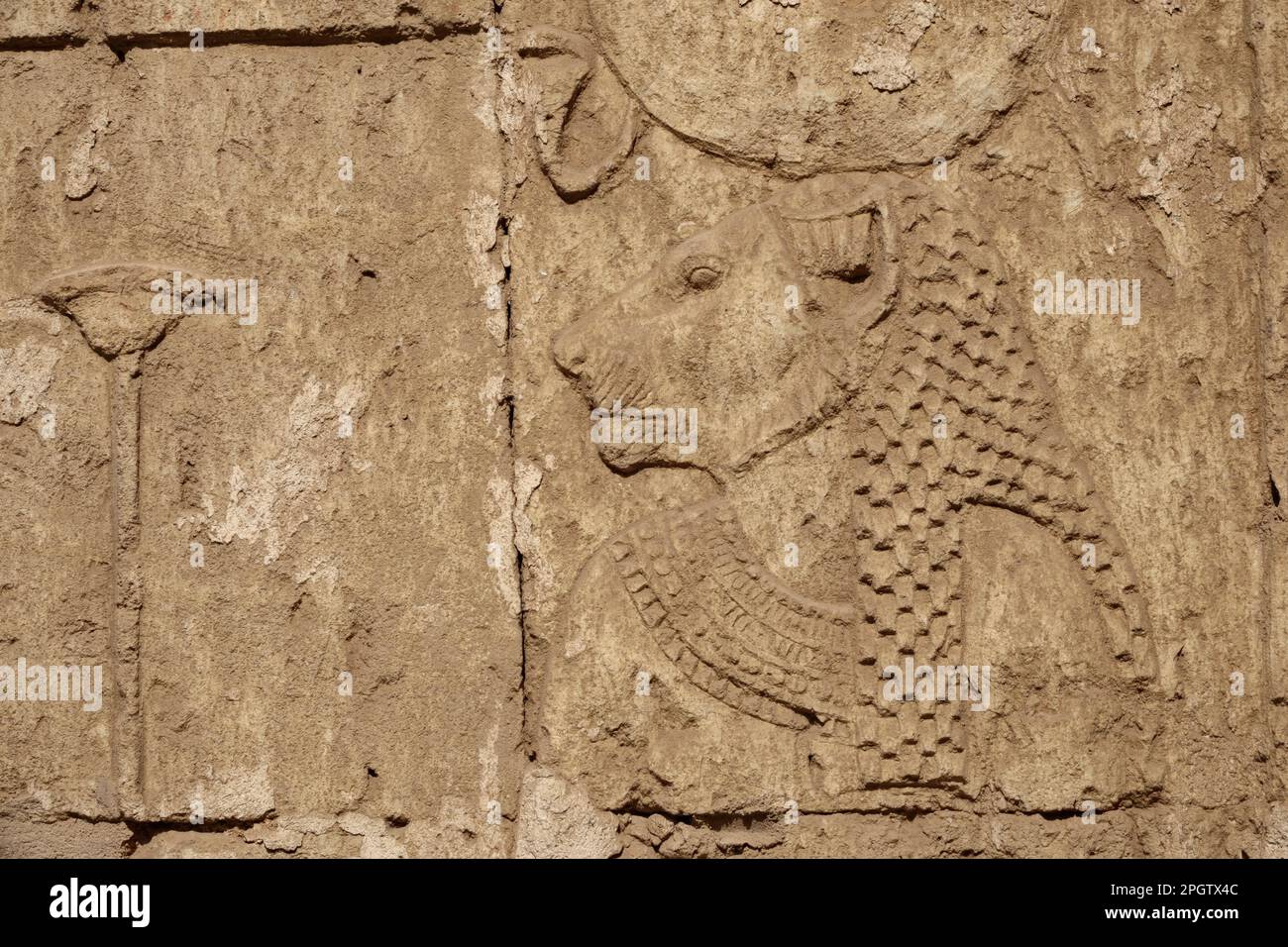 Panopolite hi-res stock photography and images - Alamy