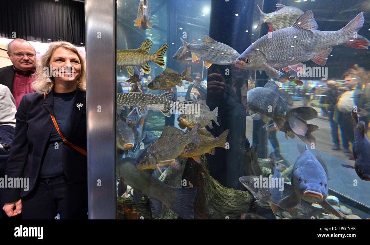 Susanna fish hi-res stock photography and images - Alamy