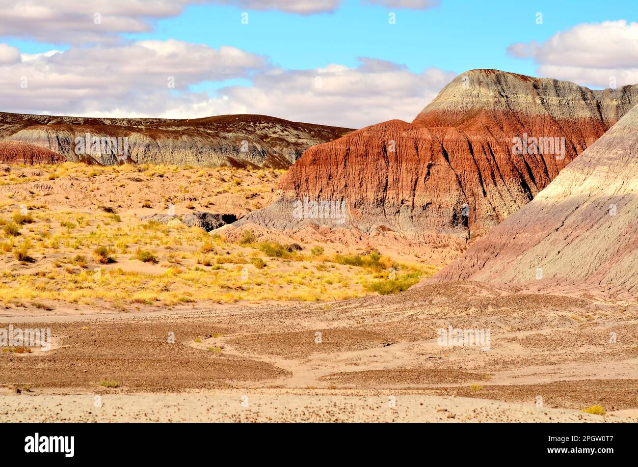 Scenic landscape of the ancient petrified forest in Arizona Stock Photo ...