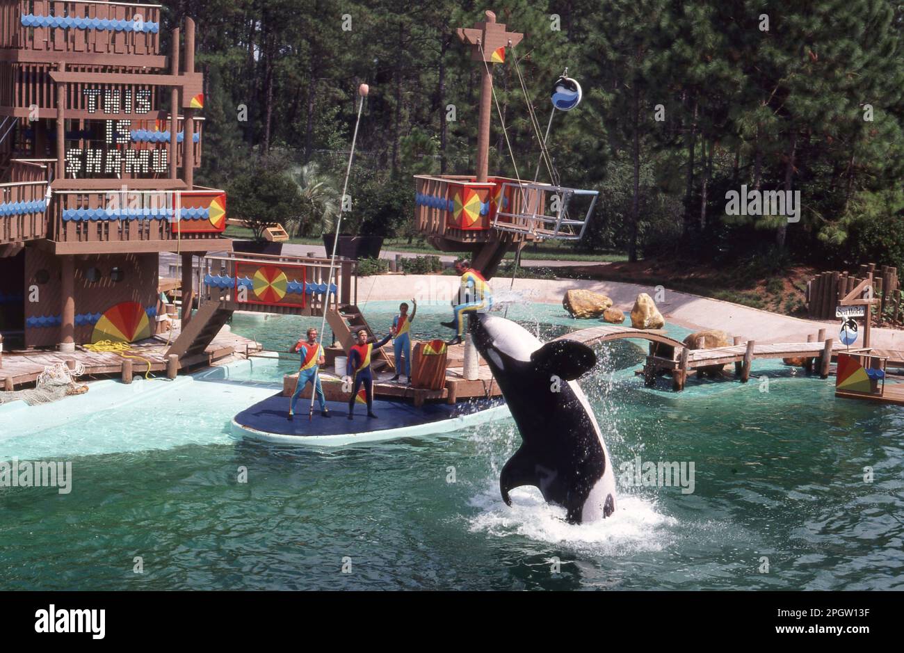 Seaworld This is Shamu Orca / Killer Whale Show in Orlando, Florida ...
