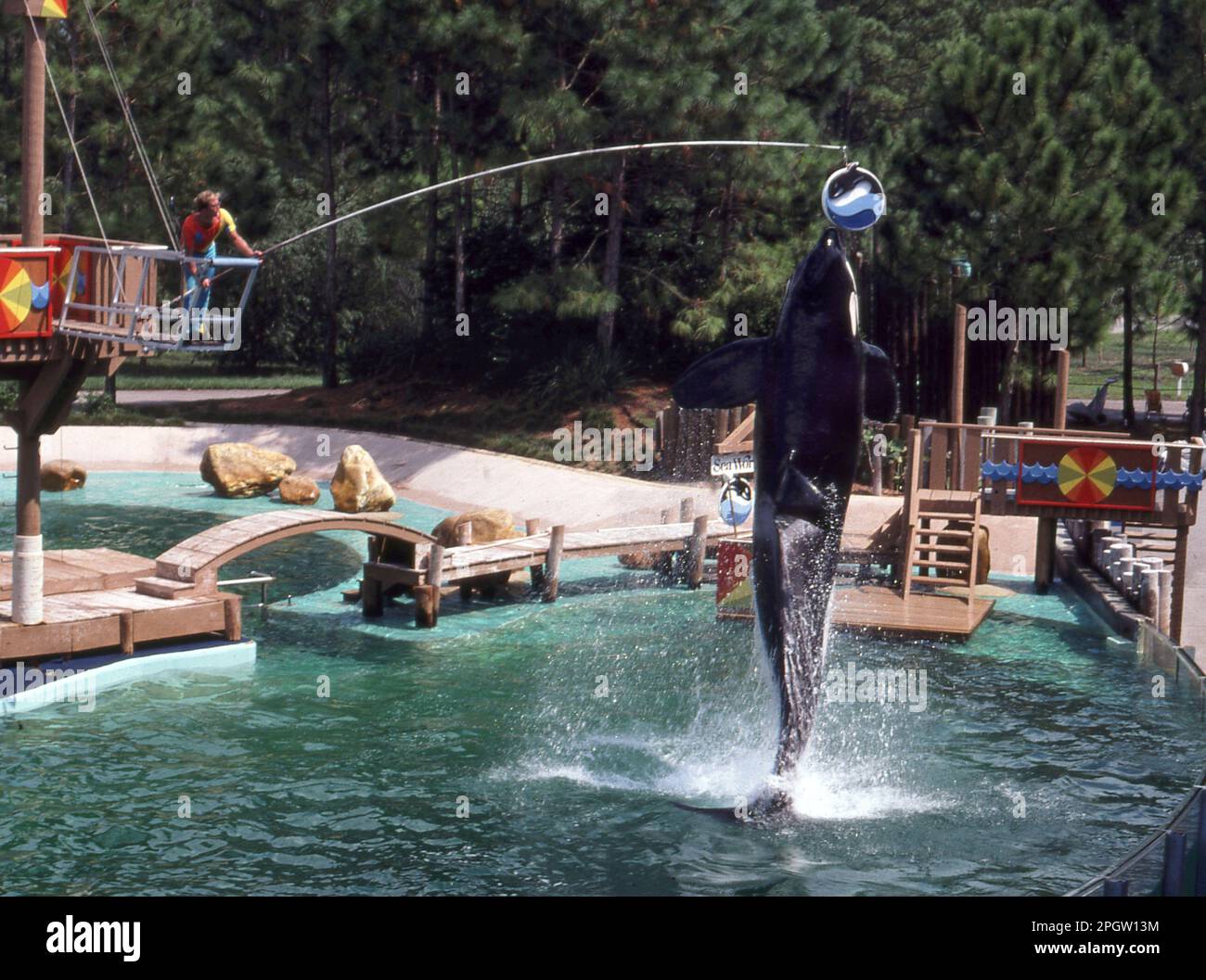 Seaworld This is Shamu Orca / Killer Whale Show in Orlando, Florida ...