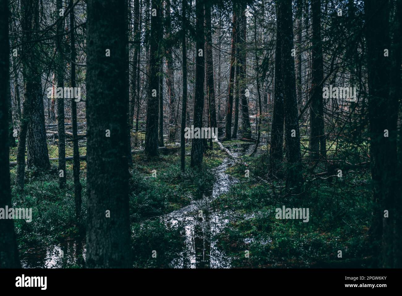 A solitary dirt path winds up a mountain slope, leading the viewer to ...