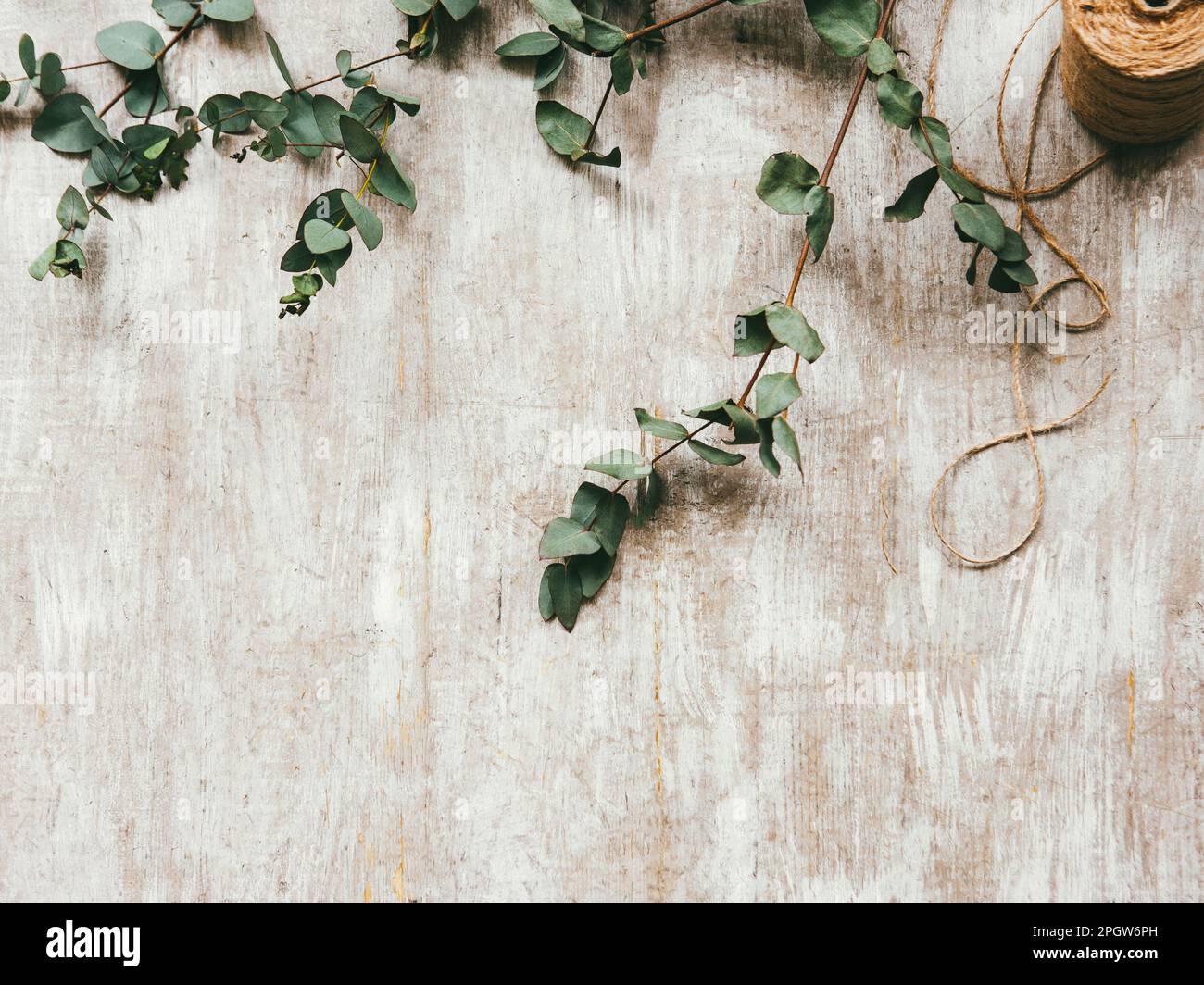 Decorative laurel art hi-res stock photography and images - Alamy