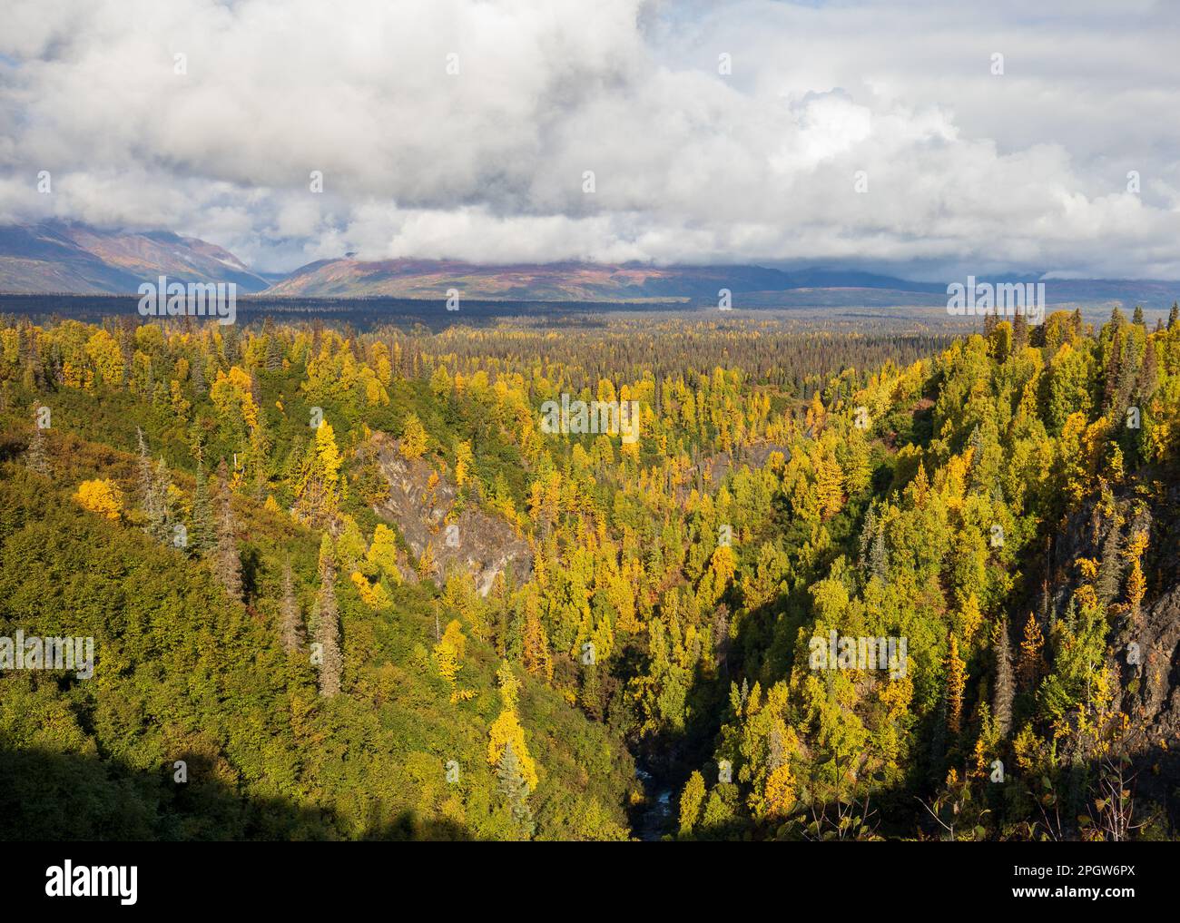 Interior alaska in the fall hi-res stock photography and images - Alamy