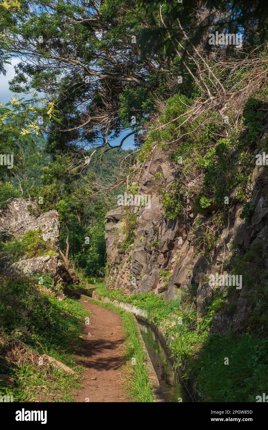 Levada nova madeira waterway Stock Photo - Alamy