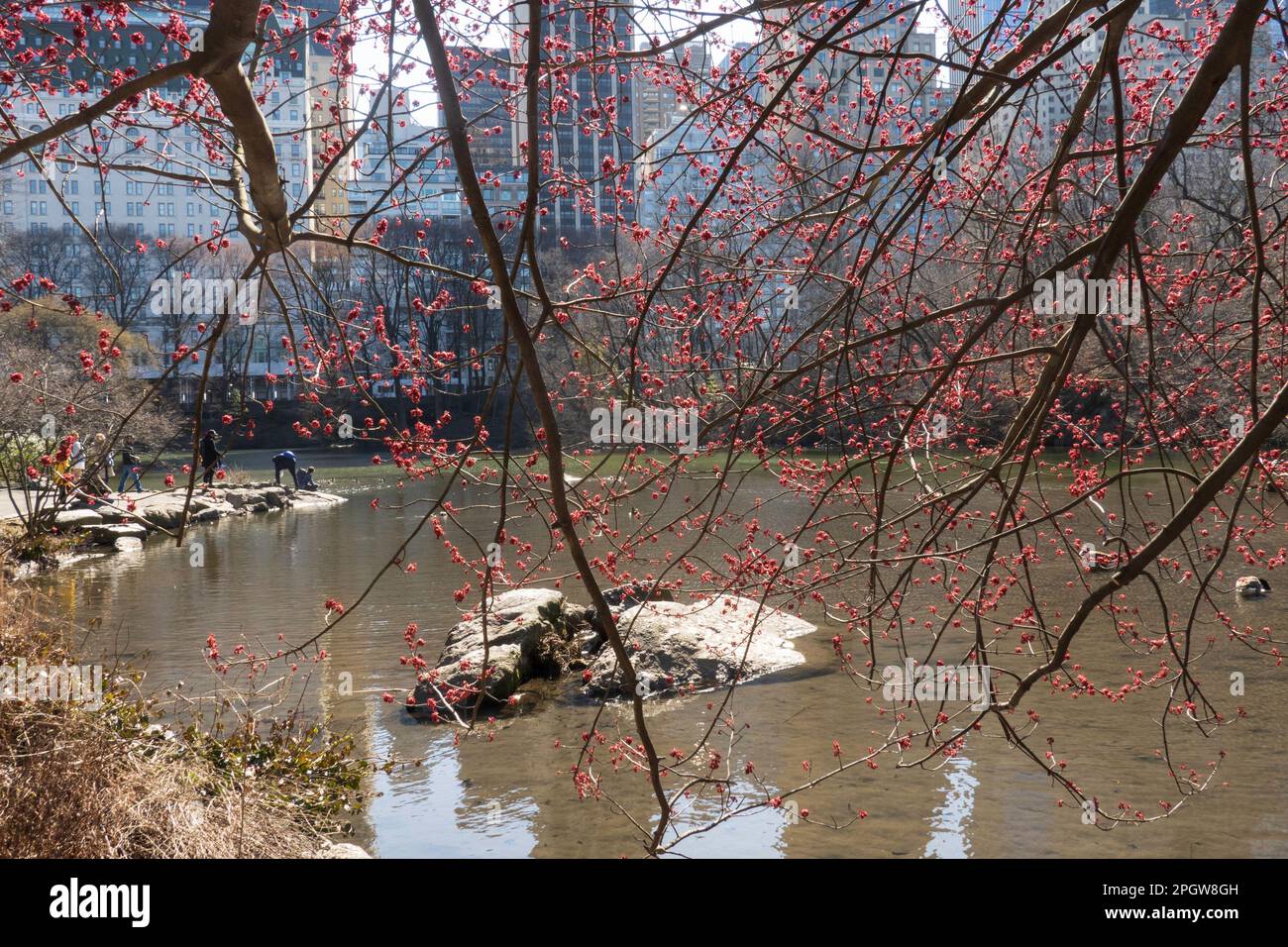 Lovely city life hi-res stock photography and images - Alamy