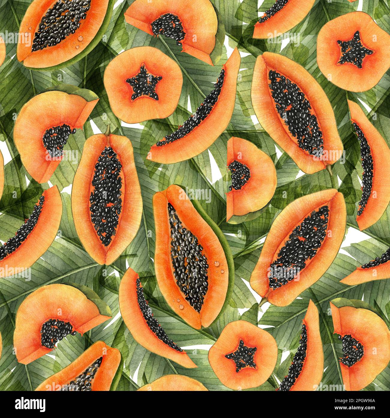 Seamless Pattern with Papaya slices and tropical palm leaves. Hand ...