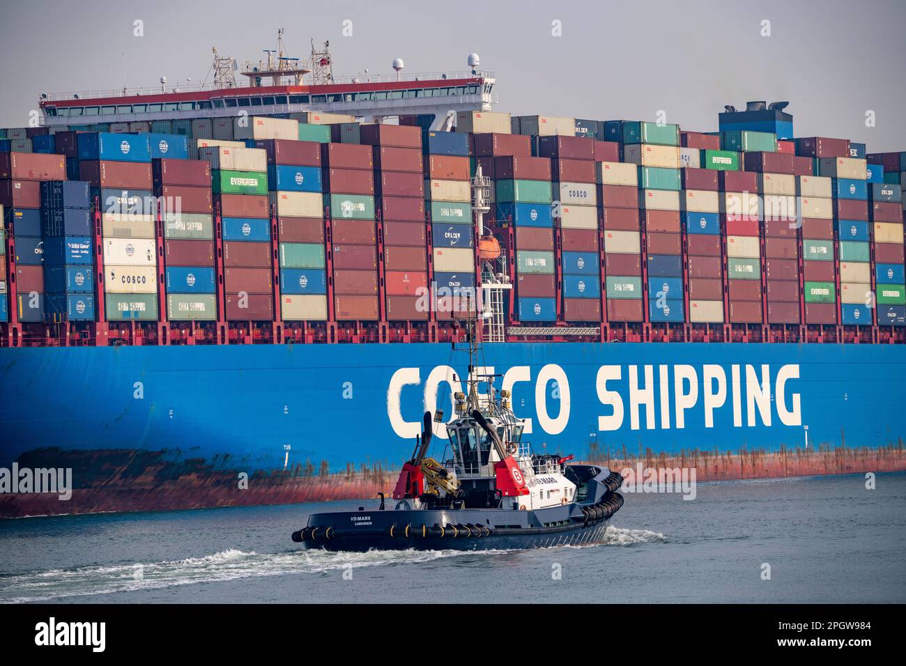 Harbour tug brings the container freighter Cosco Shipping Leo to its ...