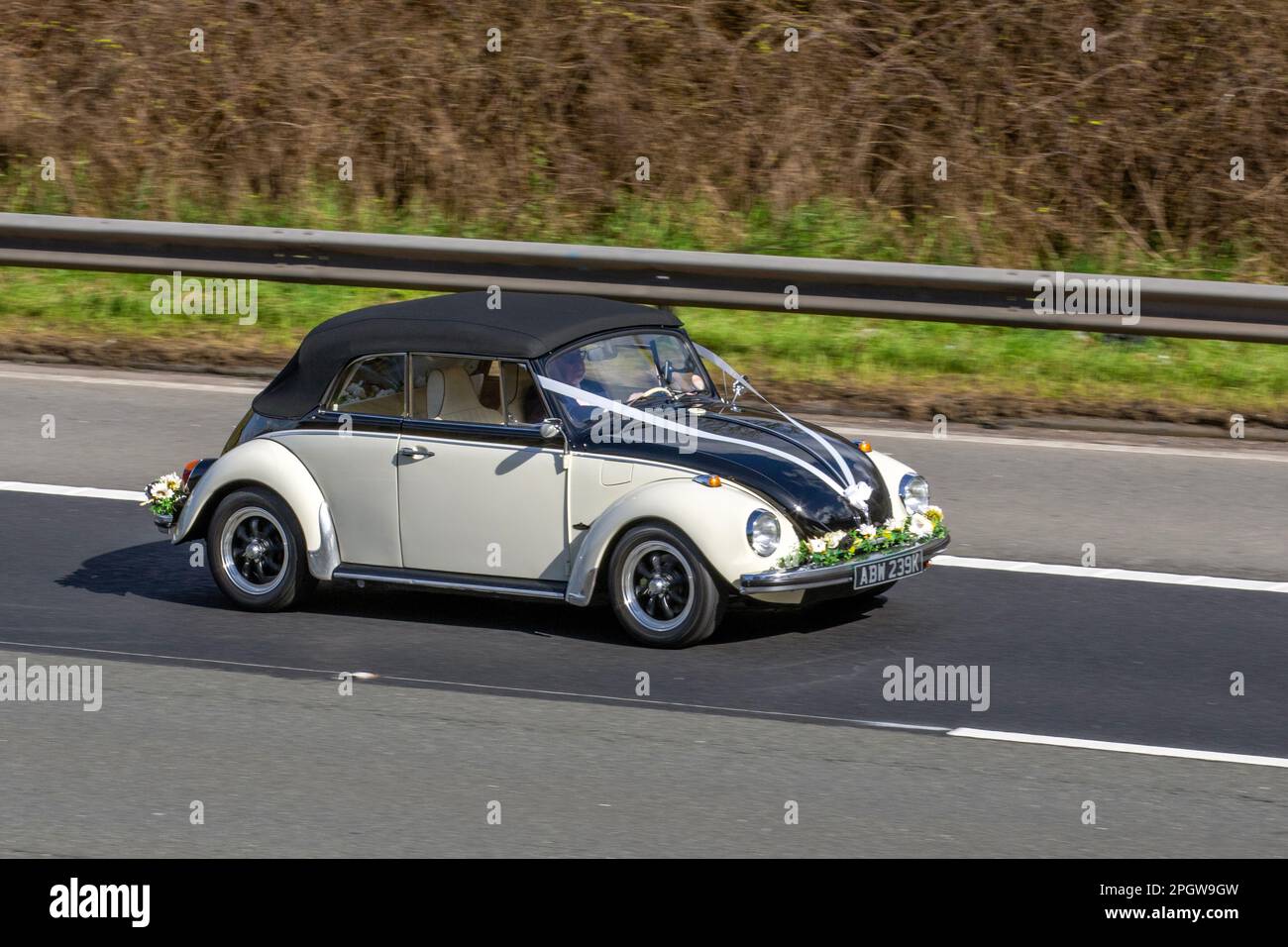Vw beetle wedding car hi-res stock photography and images - Alamy