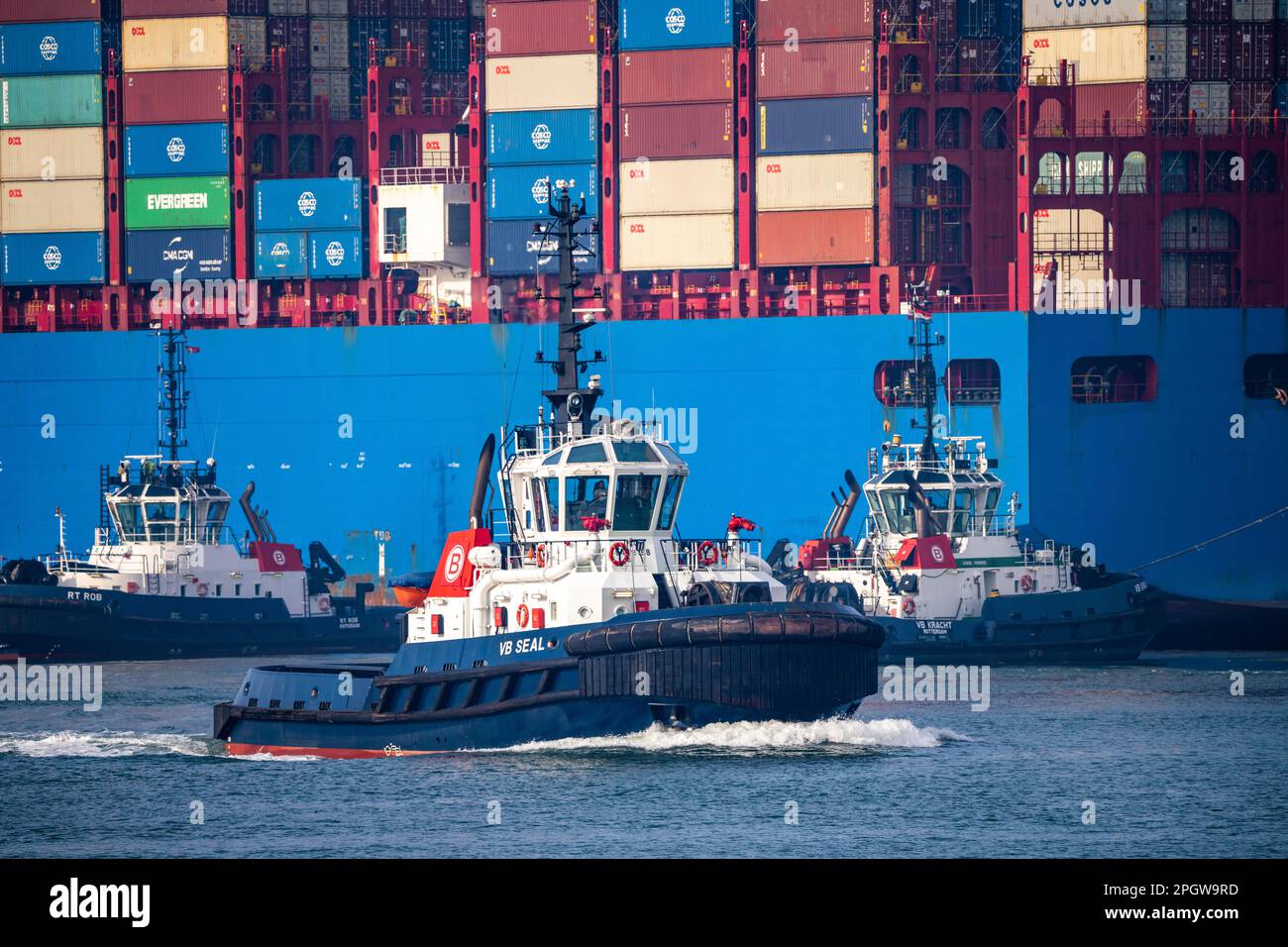 Harbour tugs push the container freighter Cosco Shipping Leo to its ...