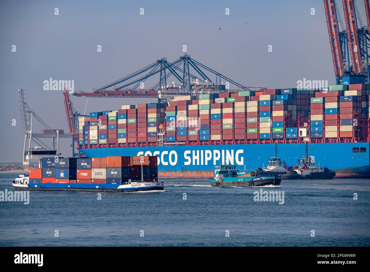 Harbour tugs push the container freighter Cosco Shipping Leo to its ...