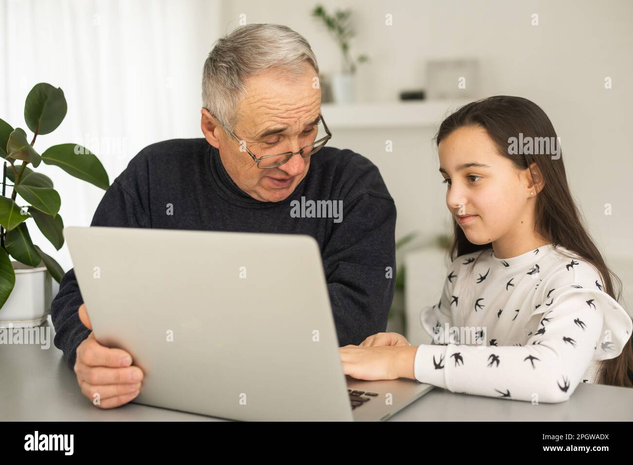 Grandfather and granddaughter spend time together use laptop, browse website, younger generation ...