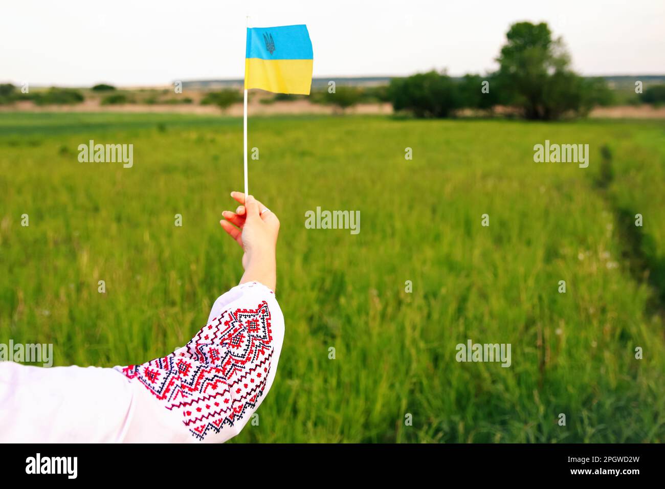 Ukraine flag hand. National symbol. Support and help Ukraine ...