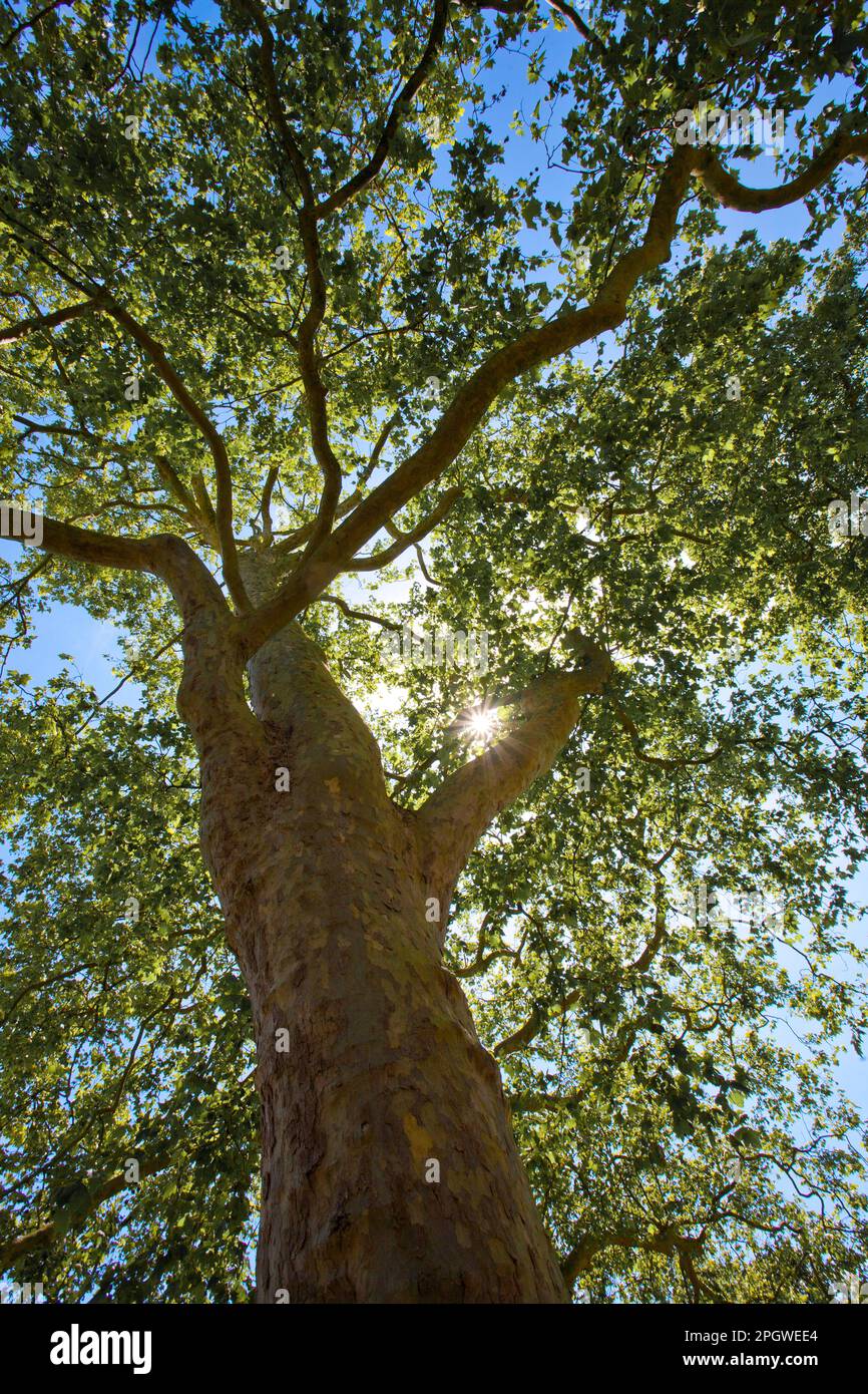 Kew & Richmond, London, England UK, Local Area Photography Stock Photo ...