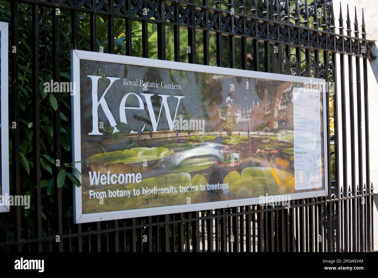 London park cafe kew hi-res stock photography and images - Alamy