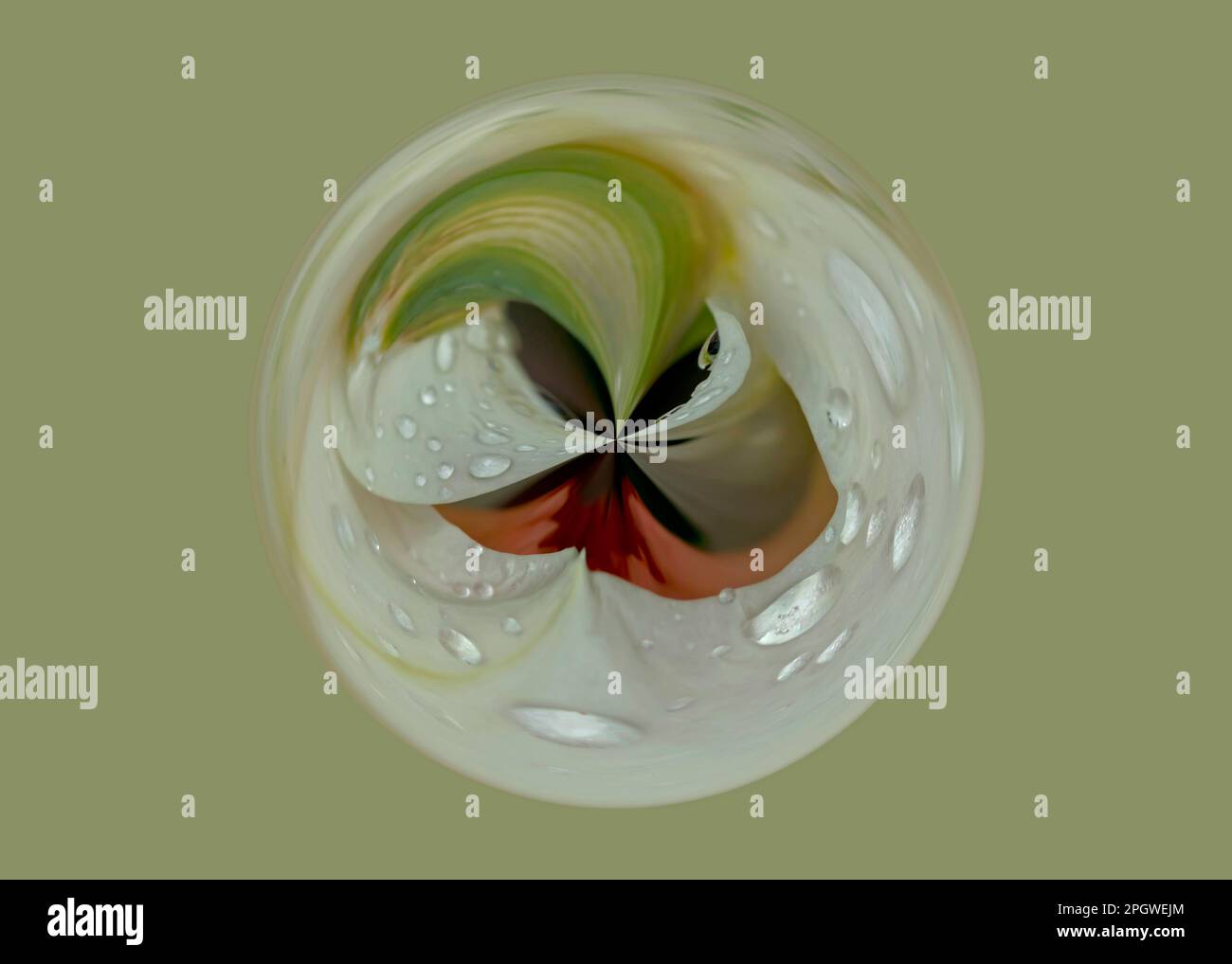Abstract daffodil covered in rain drops circle design Stock Photo - Alamy