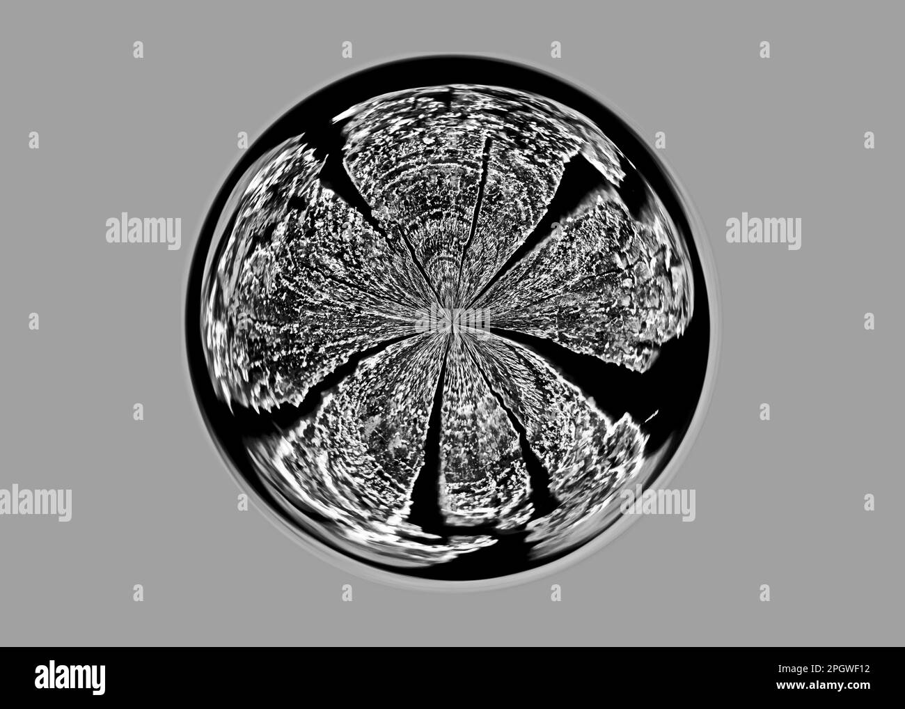 Abstract botanical orb inspired by the concentric circles of a tree ...