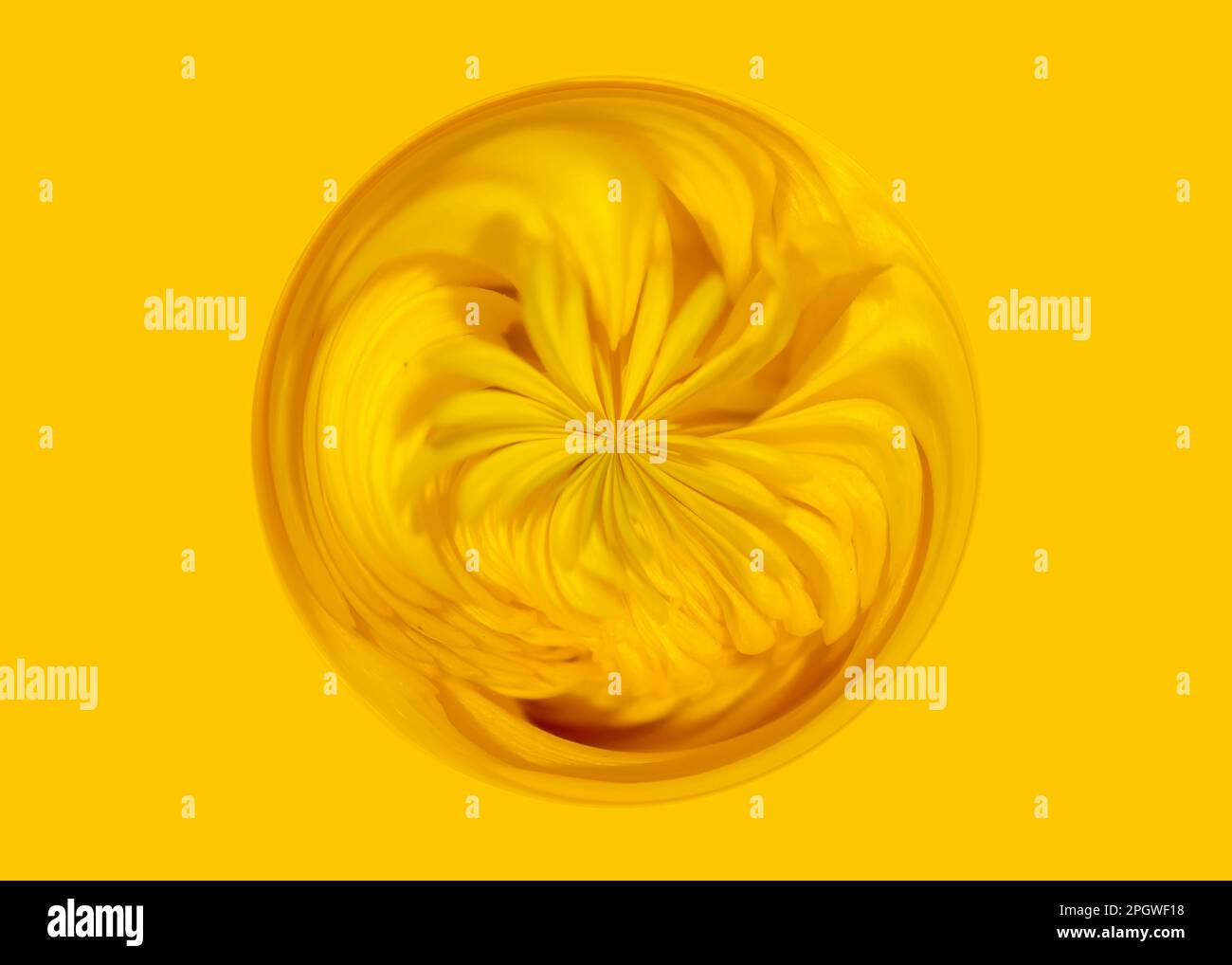 Yellow botanical abstract orb inspired by a dandelion flower Stock ...