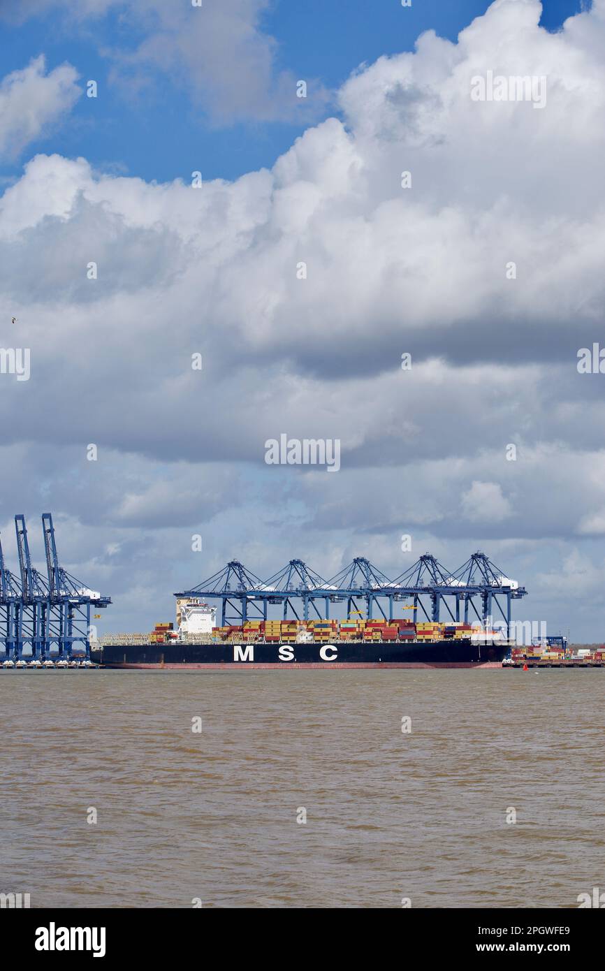 Container ship MSC Ivana berthed at the Port of Felixstowe, Suffolk, UK ...