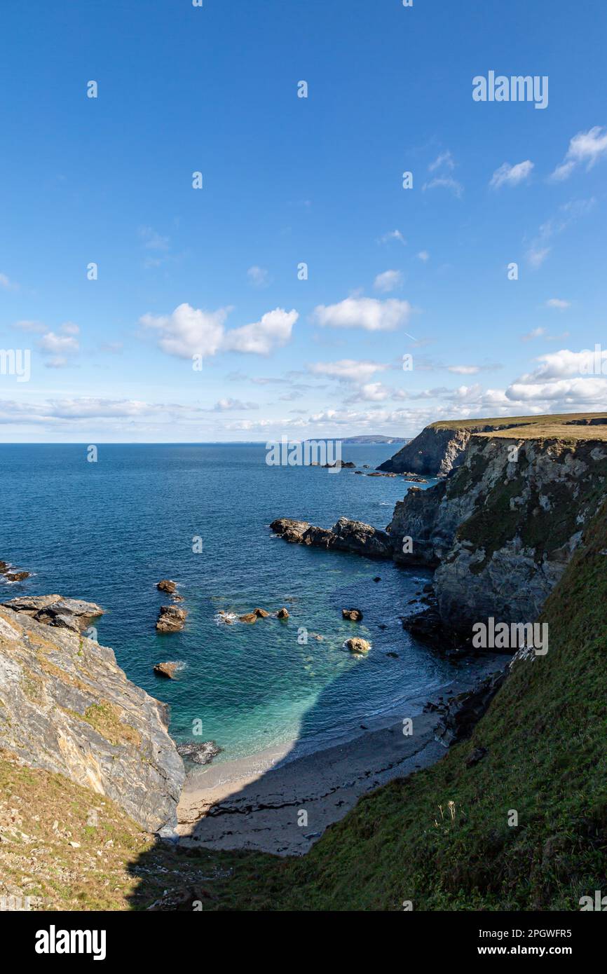 A view over Mutton Cove on the Cornish Coast, home to a seal colony ...