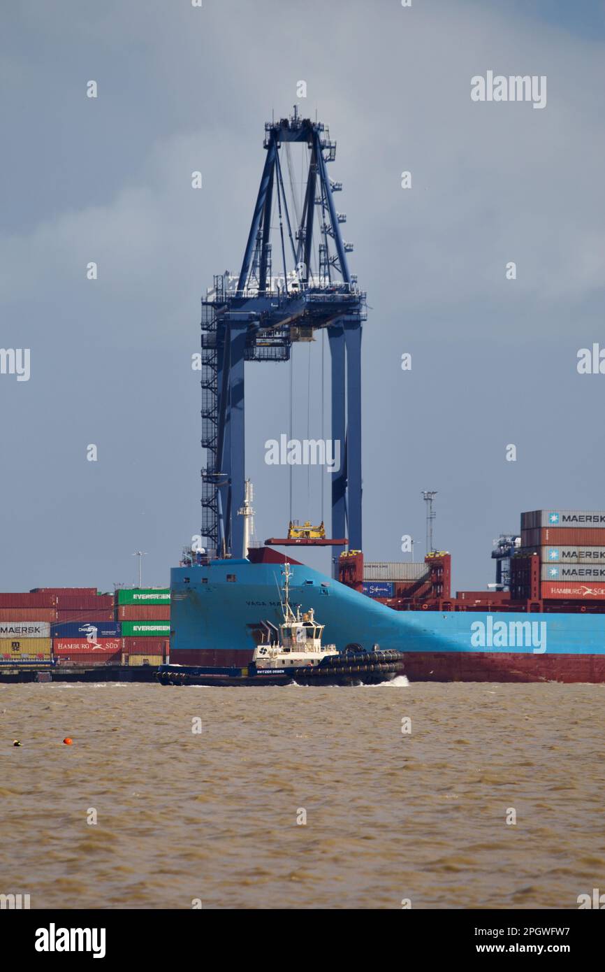 Tugboat Svitzer Deben assisting a containership Stock Photo - Alamy