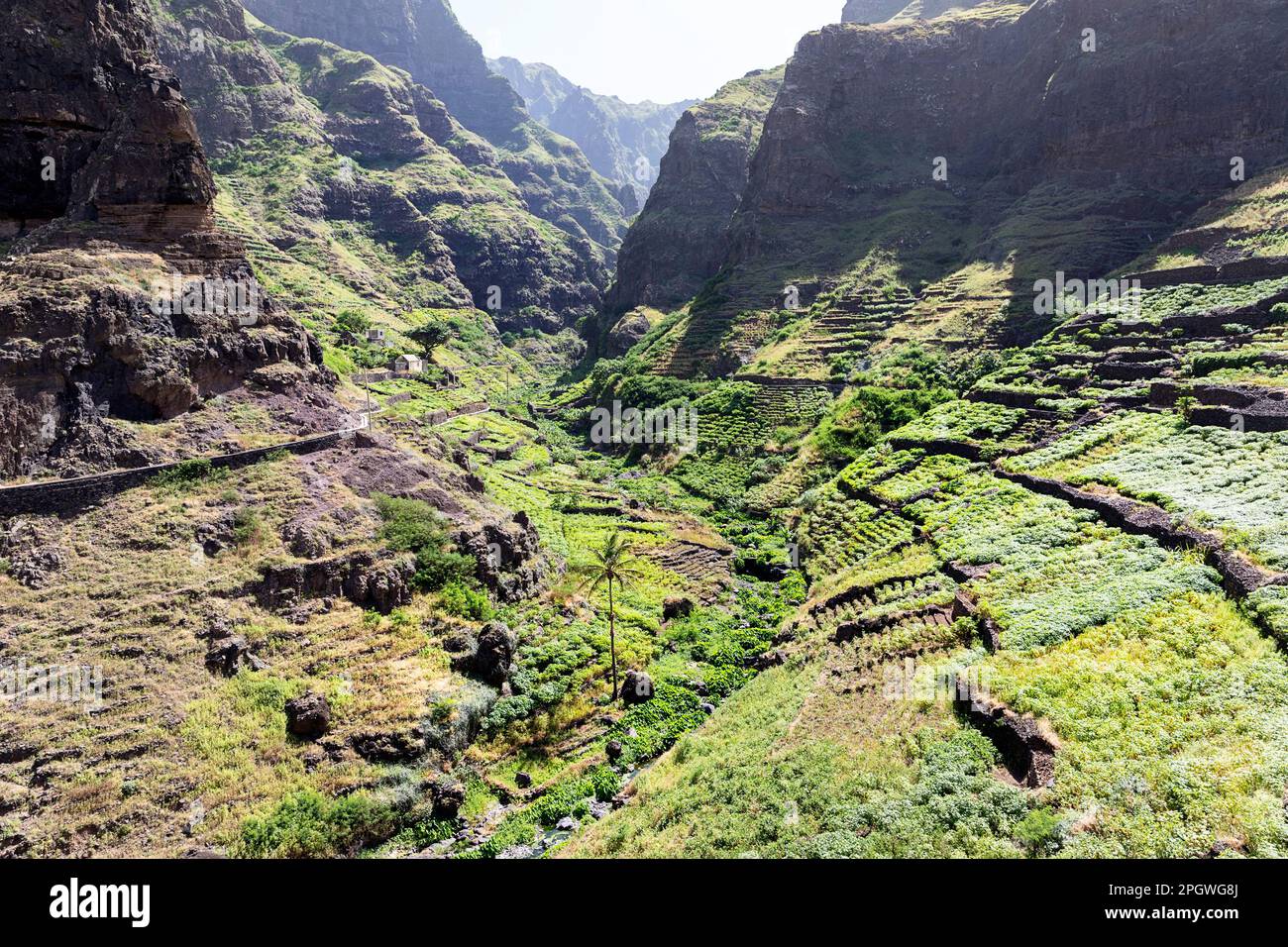 Terraced fields in a valley in the mountains near Corvo village on ...