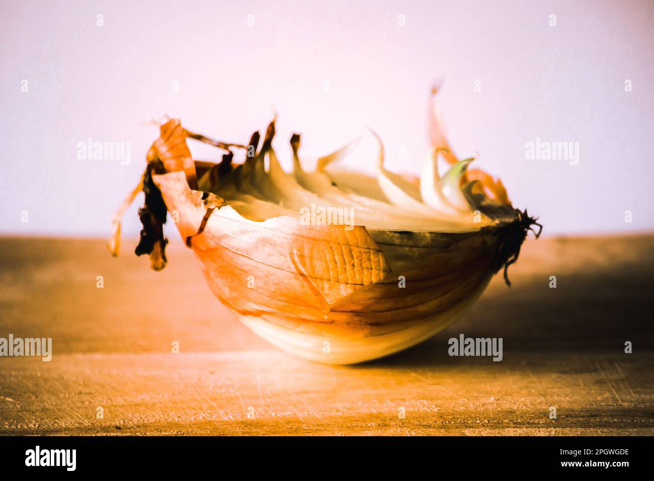 Rotten red onion hi-res stock photography and images - Alamy