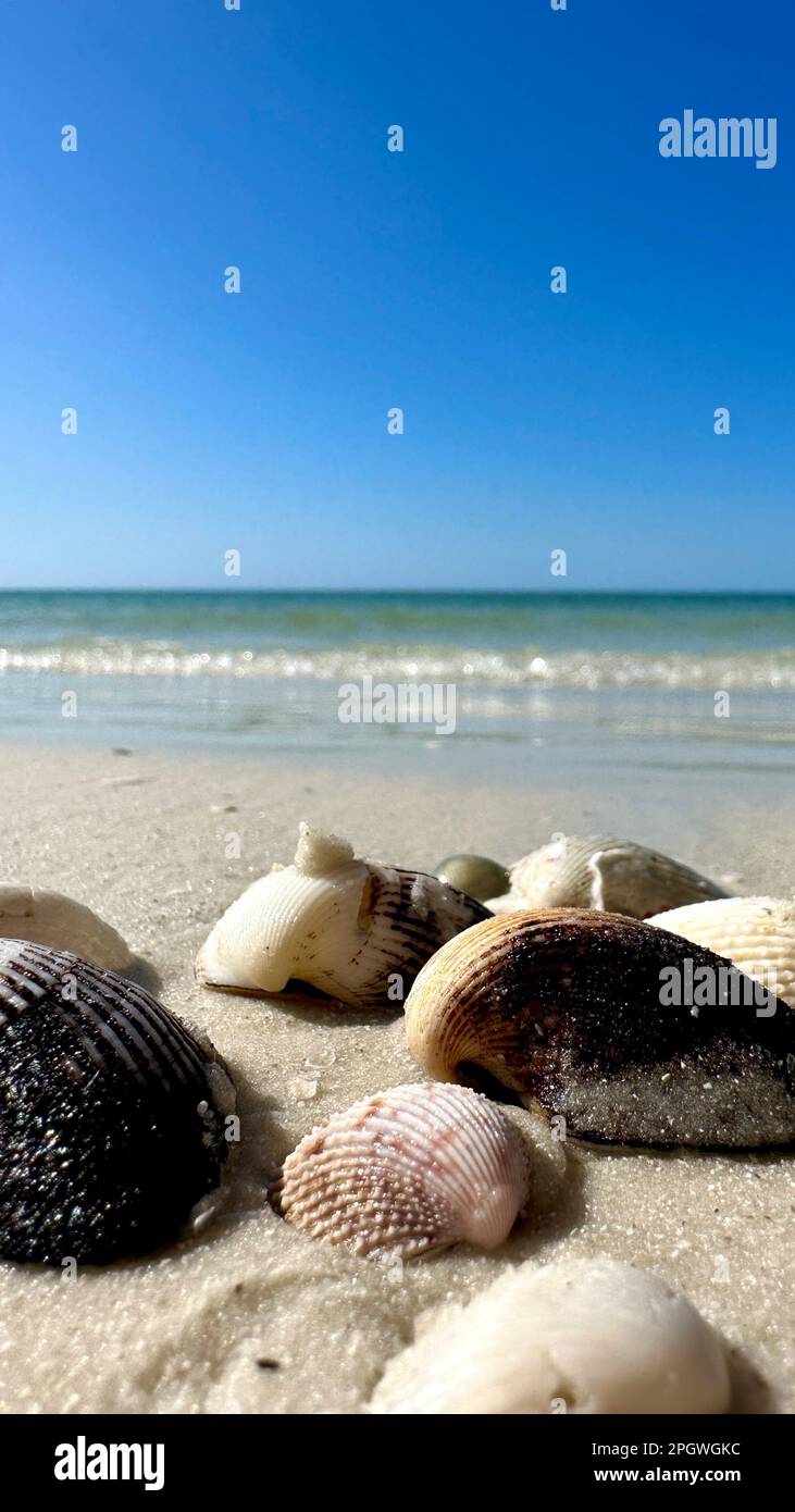 Sand sizes hi-res stock photography and images - Alamy