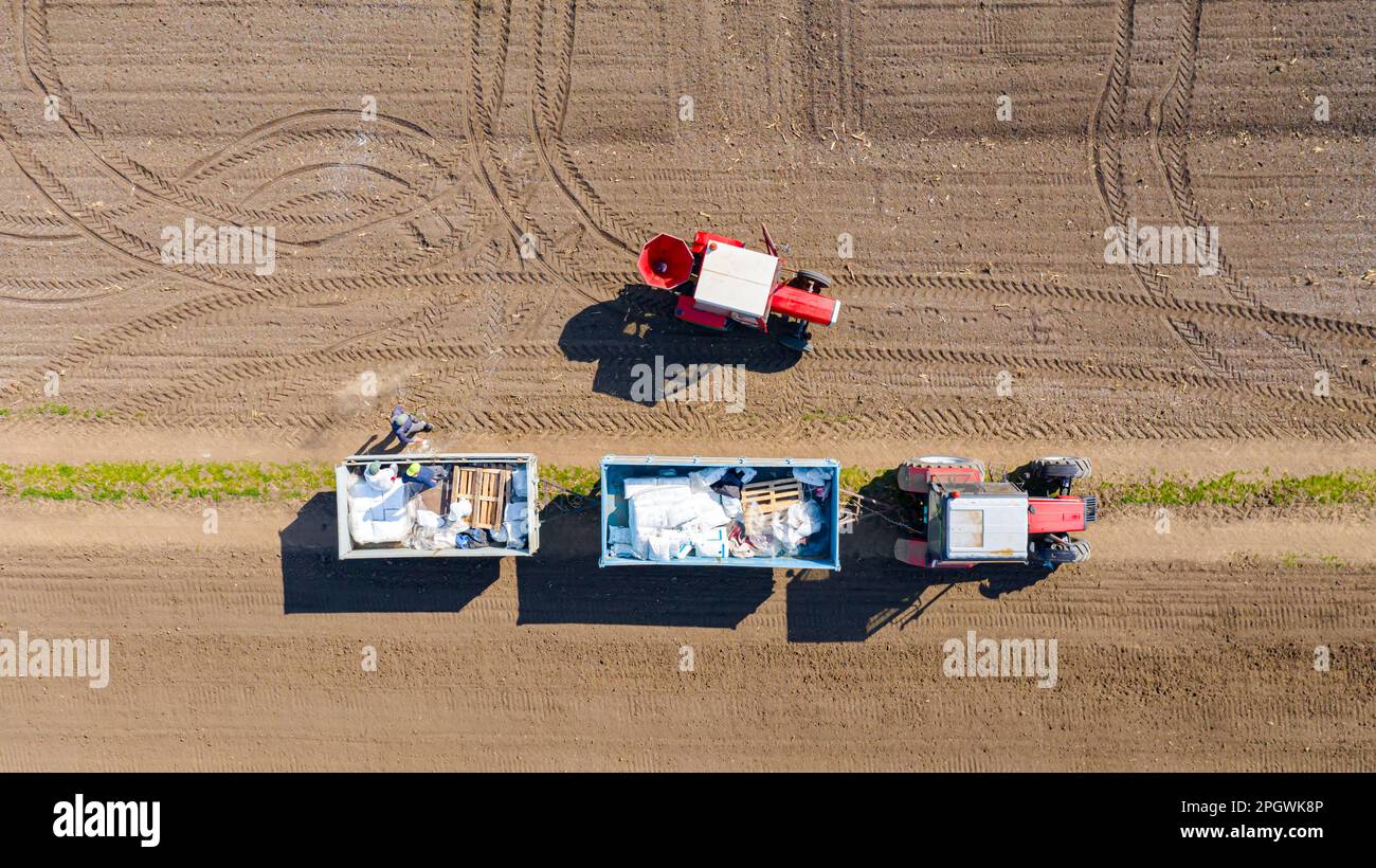 Above top view on two farmers as reloading artificial fertilizer from ...