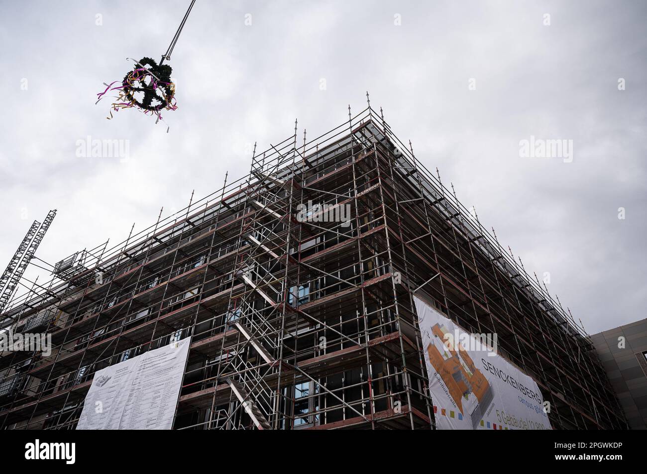 24 March 2023, Saxony, Görlitz: The topping-out wreath hangs from a ...
