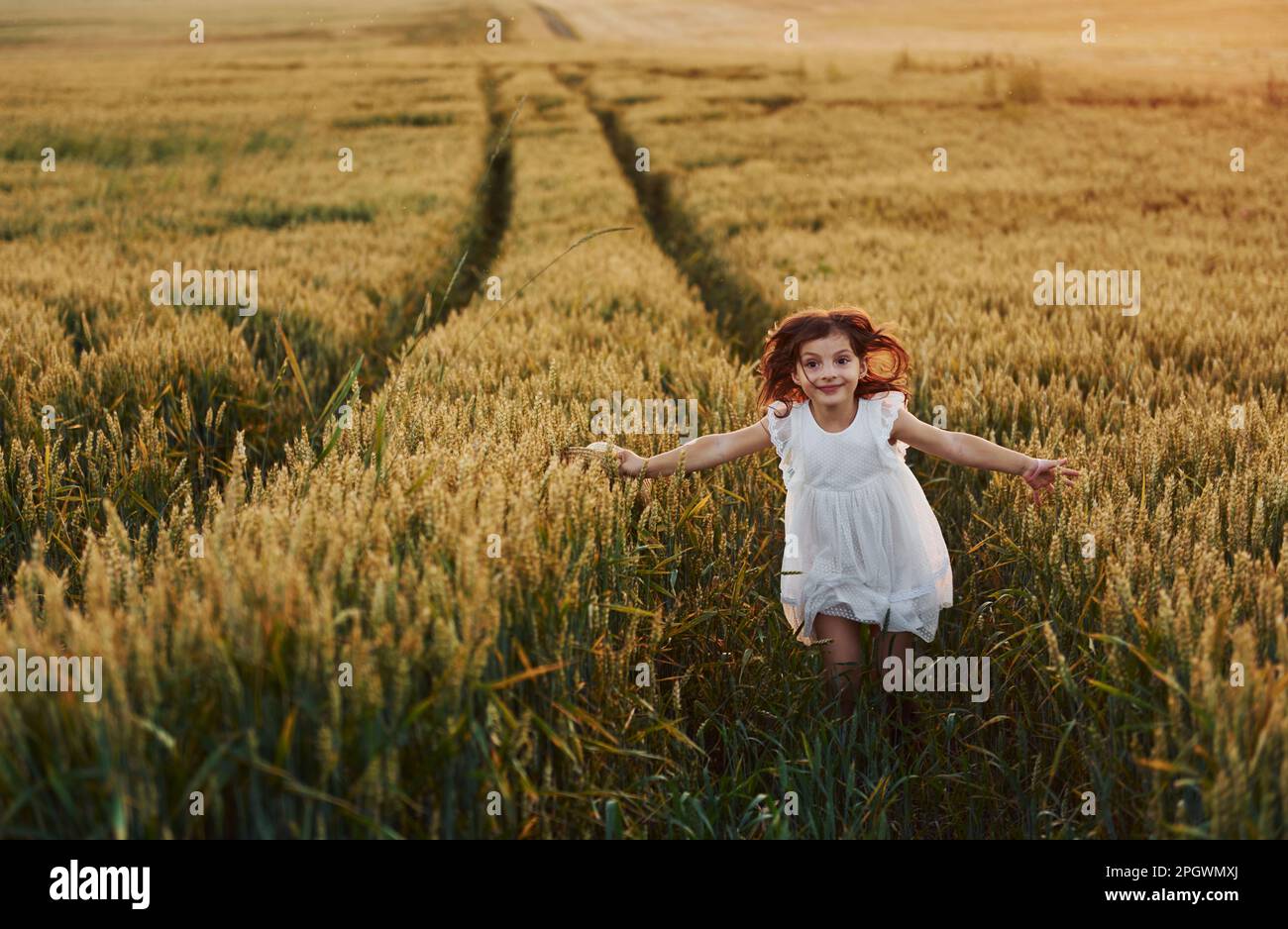 Cheerful little girl in white dress running in the agricultural field ...