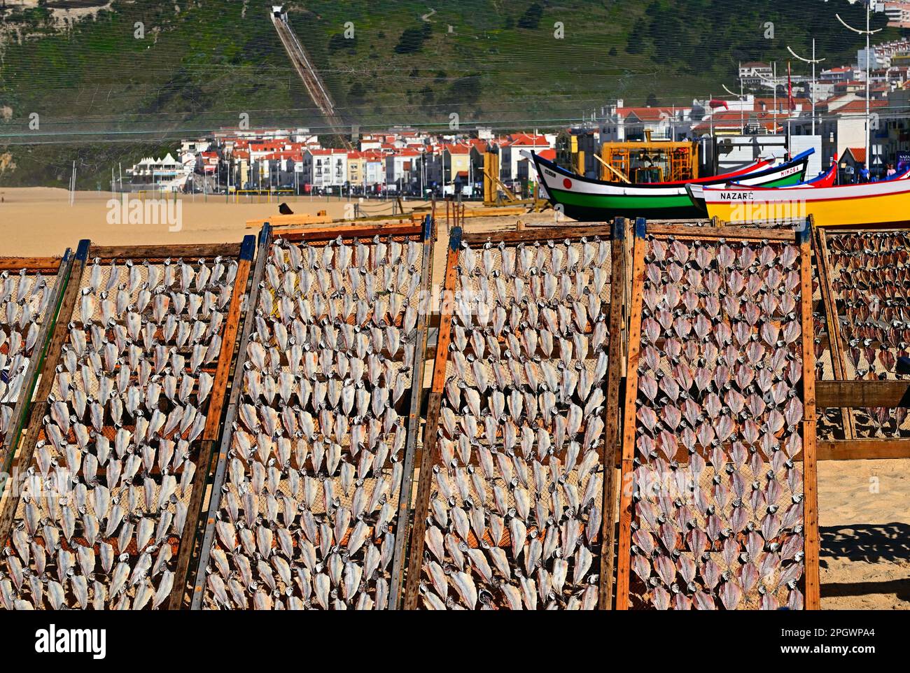Fish Drying on Sun at the Beach of Nazare, Portugal Stock Photo - Alamy