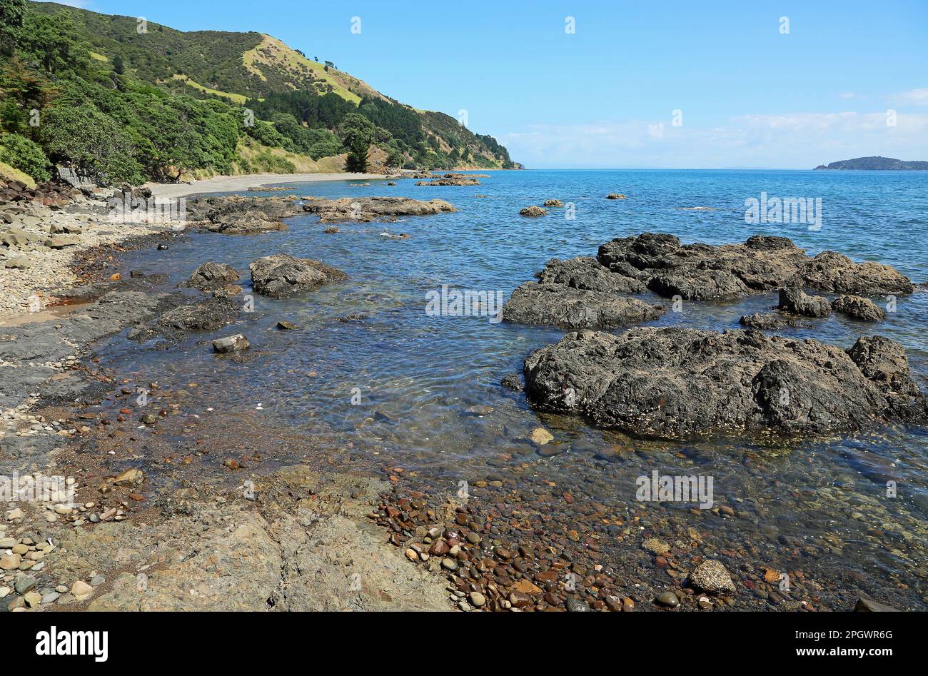 Volcanic coast of Coromandel Harbour - New Zealand Stock Photo - Alamy