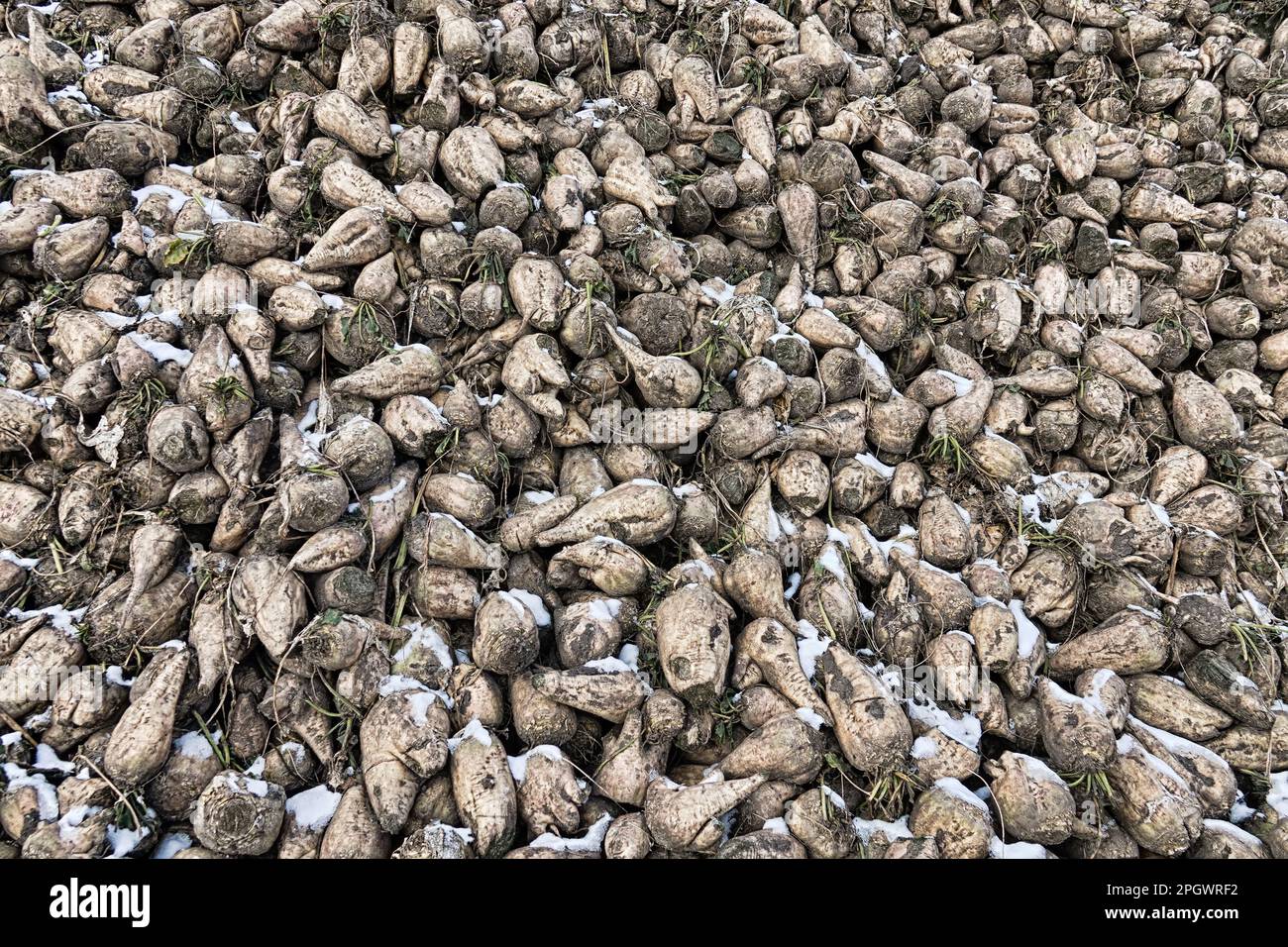 Storing bunker hi-res stock photography and images - Alamy