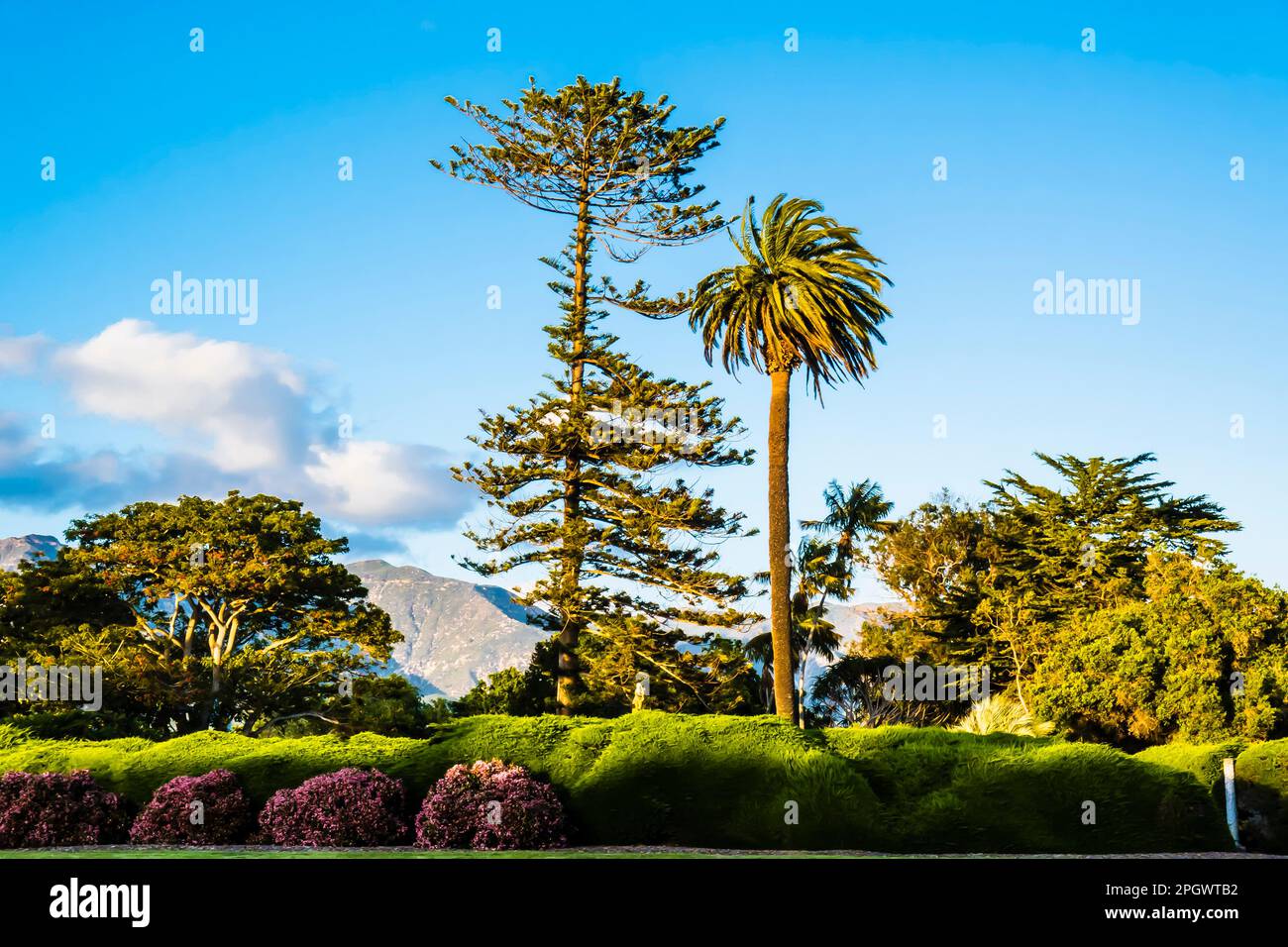 Landsca[ing at the Bellosguardo, the Clark Mansion in Santa Barbara ...