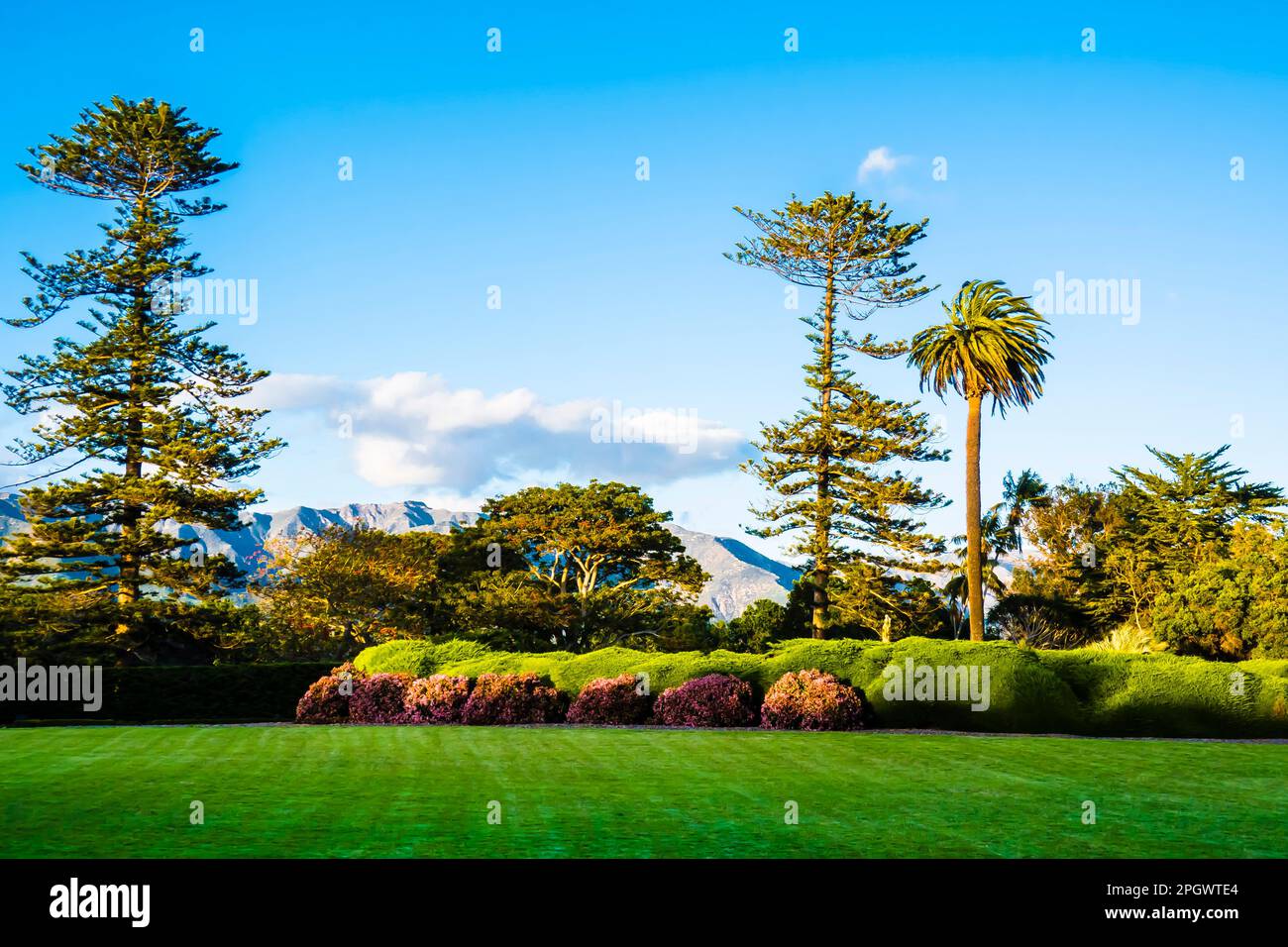 Landsca[ing at the Bellosguardo, the Clark Mansion in Santa Barbara ...