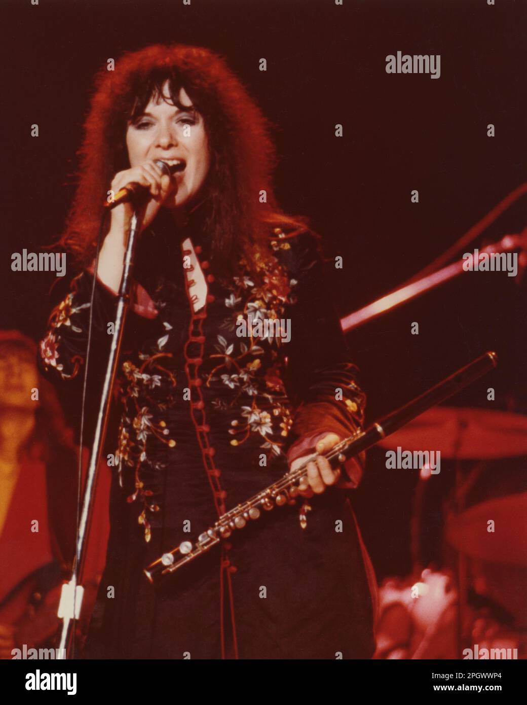 Ann Wilson 1990